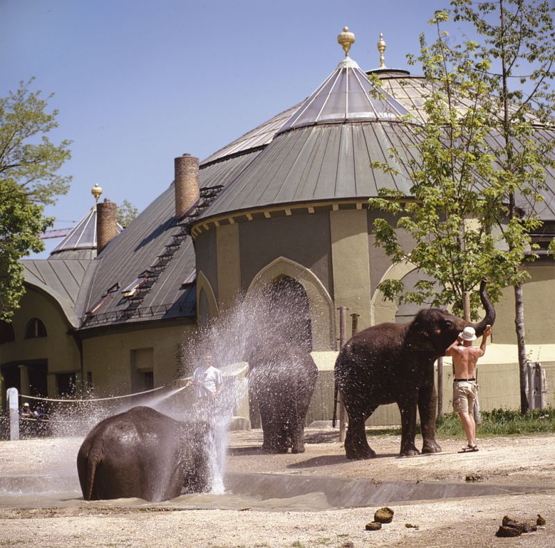 Tierische Abenteuer: Schulklasse im Tierpark Hellabrunn München ...